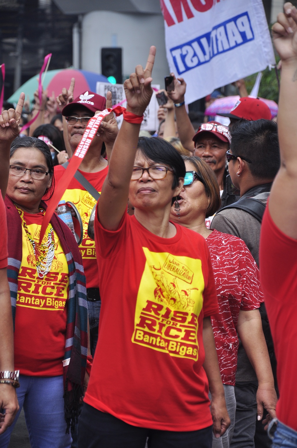 February 14 | Rise for Rice! Junk Rice Liberalization! protest at ...