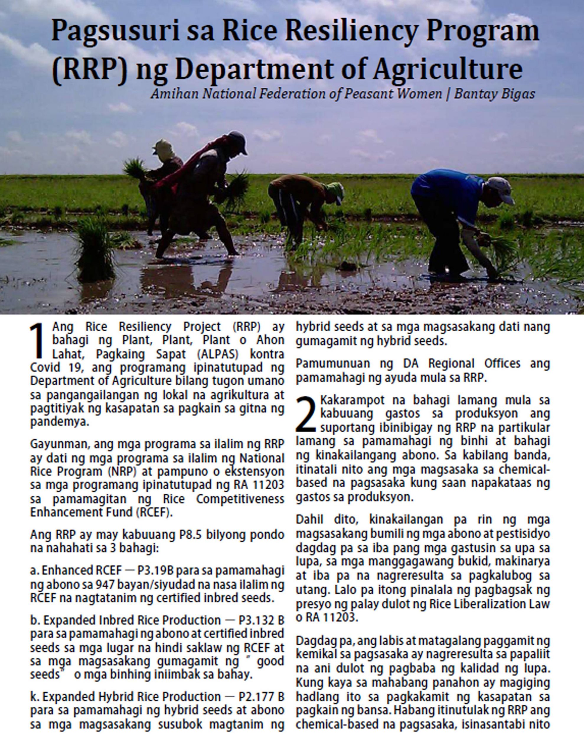 Pagsusuri sa Rice Resiliency Project (RRP) ng Department of Agriculture ...