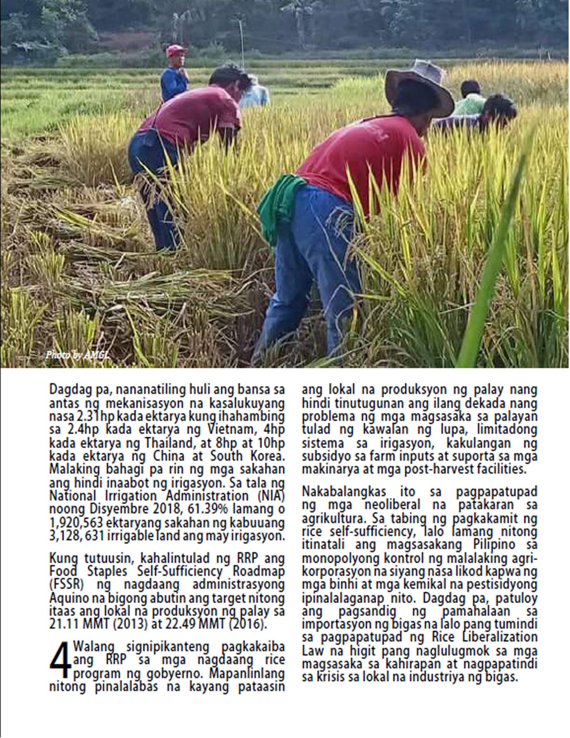 Pagsusuri sa Rice Resiliency Project (RRP) ng Department of Agriculture ...