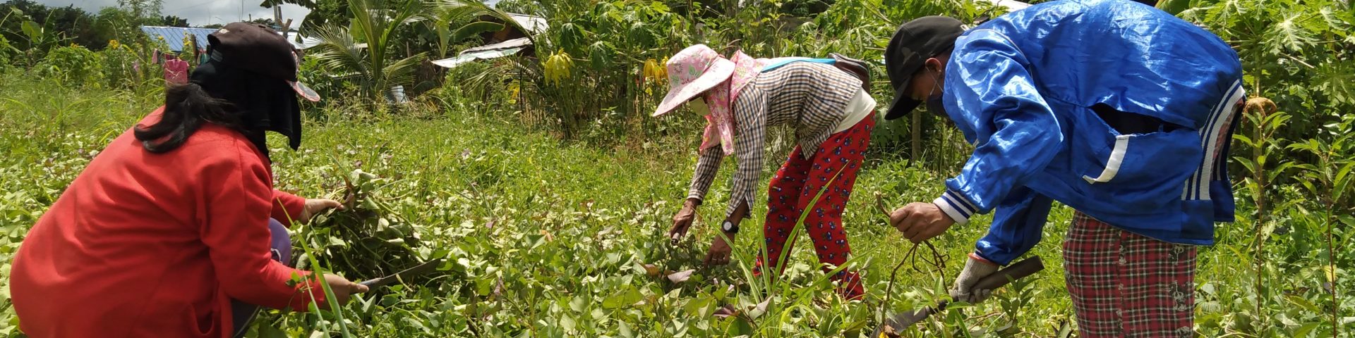 Free Land Distribution Now! - AMIHAN